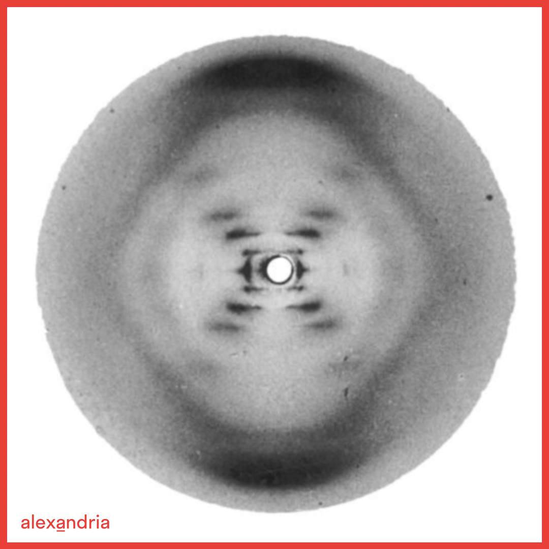 Das Foto, das den Menschen erklärte: Rosalind Franklin